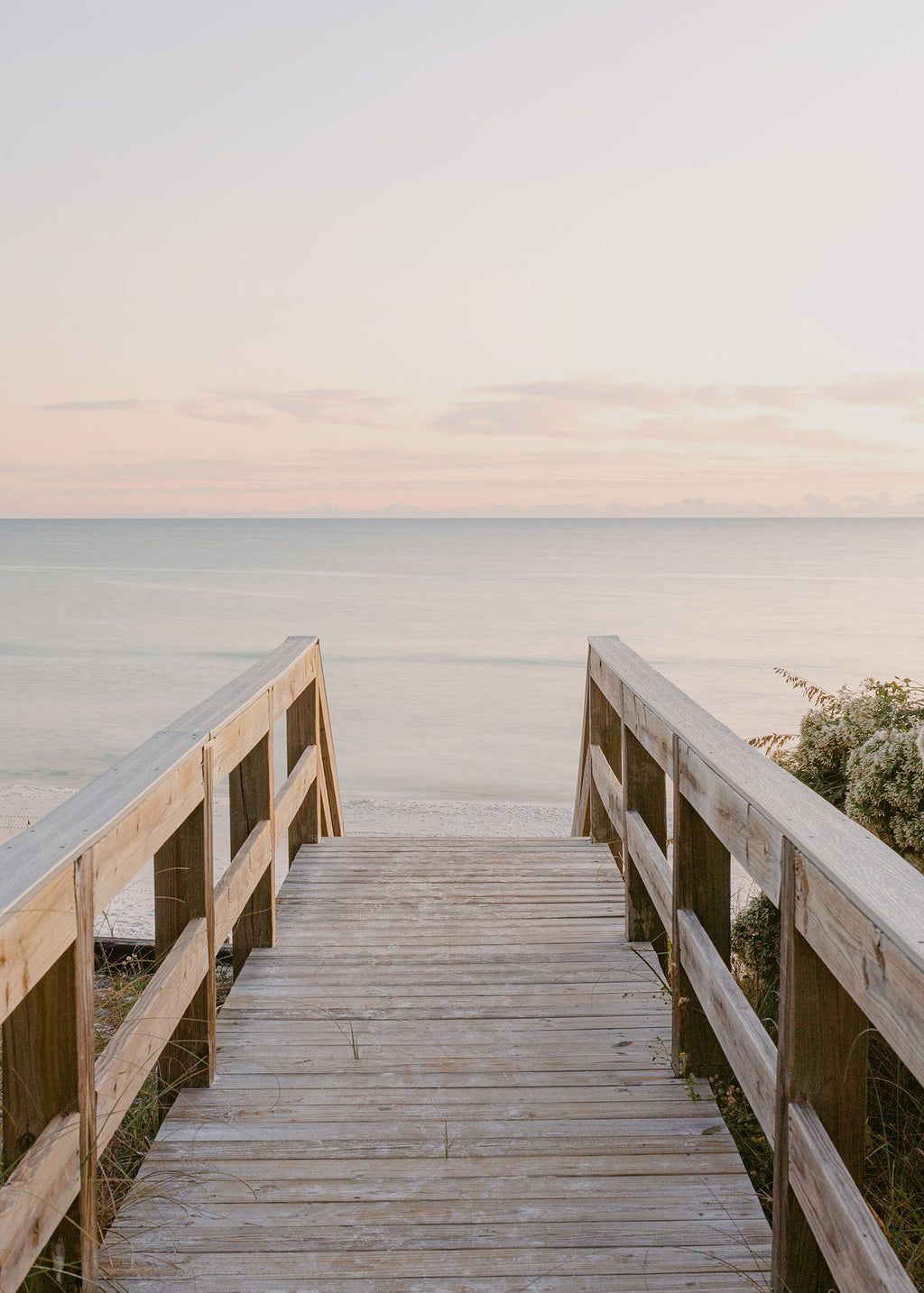 30A – Cove Prints