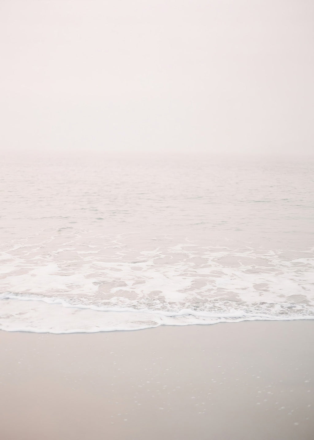 Still Motion – Cove Prints